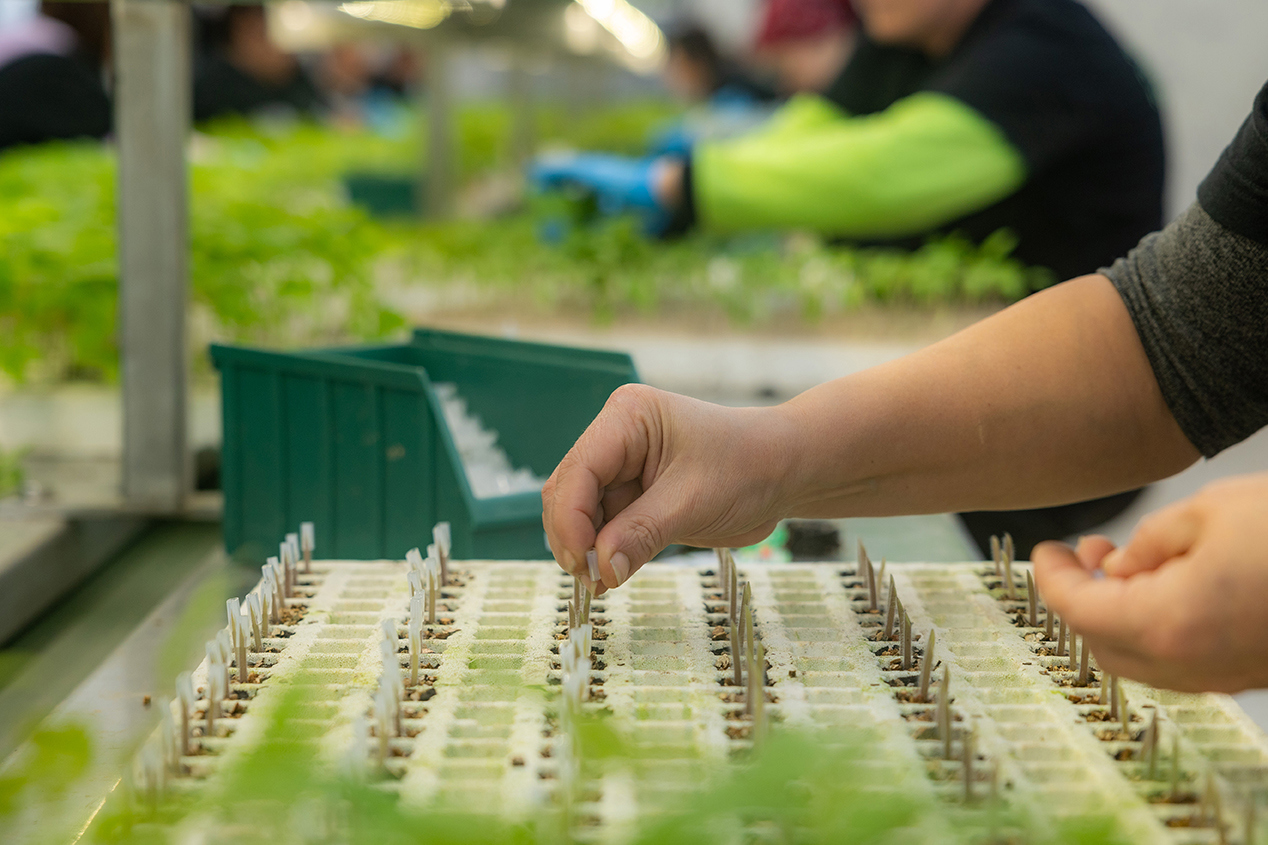 GrowOrganiX - Nurturing nature’s finest, together.